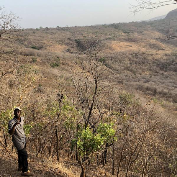 Créer des corridors de biodiversité en Afrique - Beauval Nature
