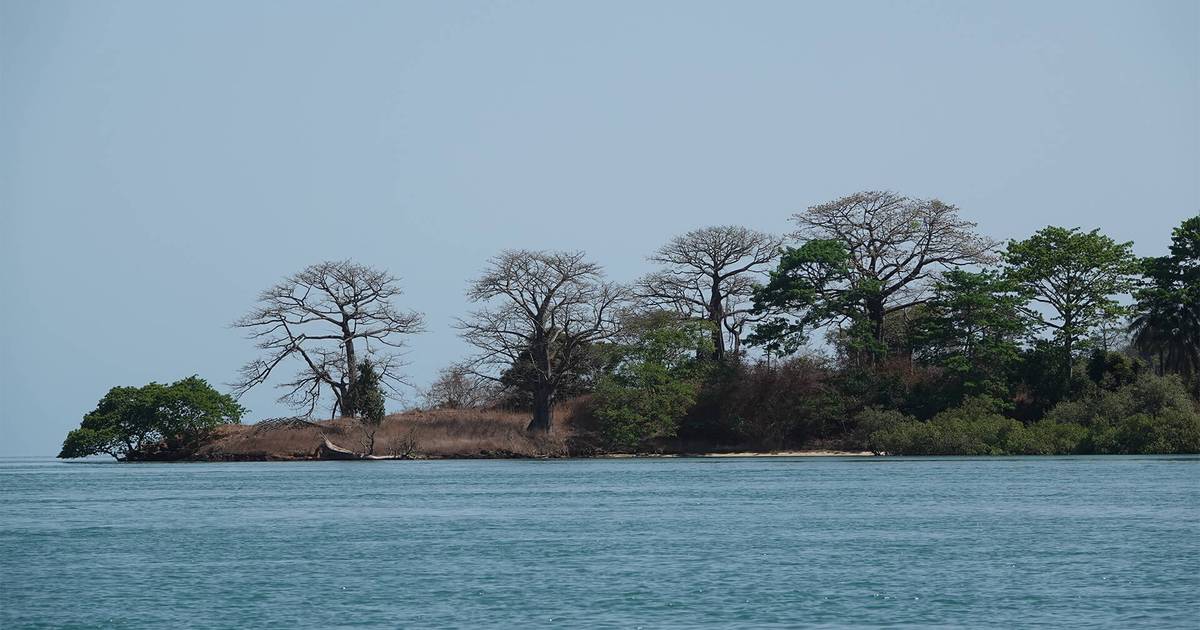 Protéger la faune et la flore des Bijagós - Beauval Nature